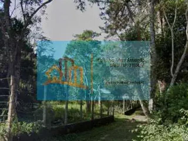 Terreno / Lote para Venda em São Paulo/SP Jardim dos Eucaliptos