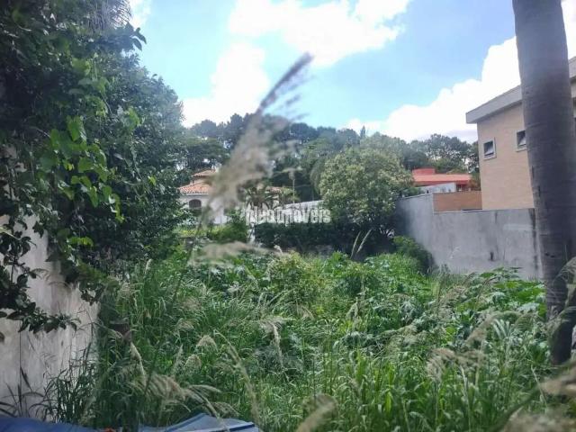 Terreno / Lote para Venda em São Paulo/SP Jardim dos Estados