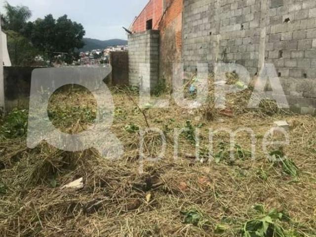 Terreno / Lote para Venda em São Paulo/SP Jardim Daysy