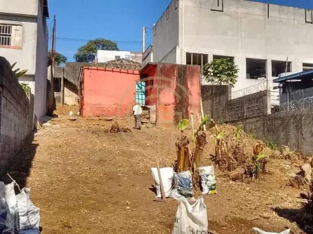 Terreno / Lote para Venda em São Paulo/SP Jardim das Flores