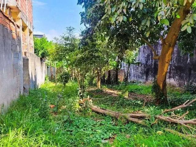 Terreno / Lote para Venda em São Paulo/SP Jardim das Imbuias