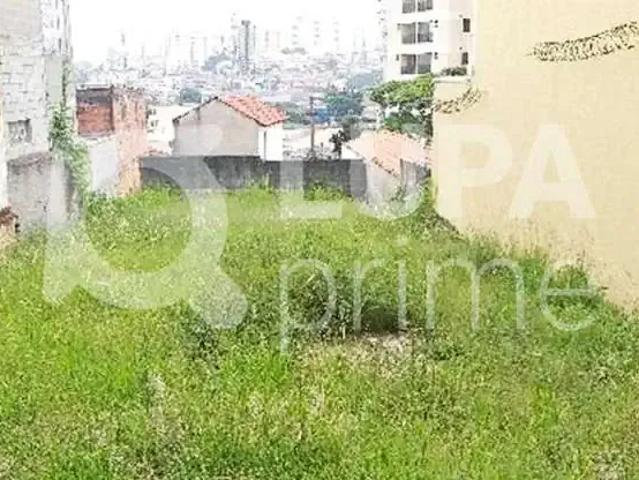 Terreno / Lote para Venda em São Paulo/SP Jardim das Laranjeiras