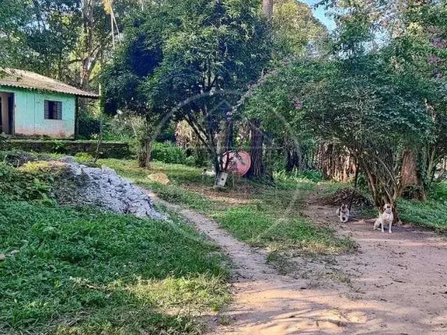 Terreno / Lote para Venda em São Paulo/SP Jardim Ellus