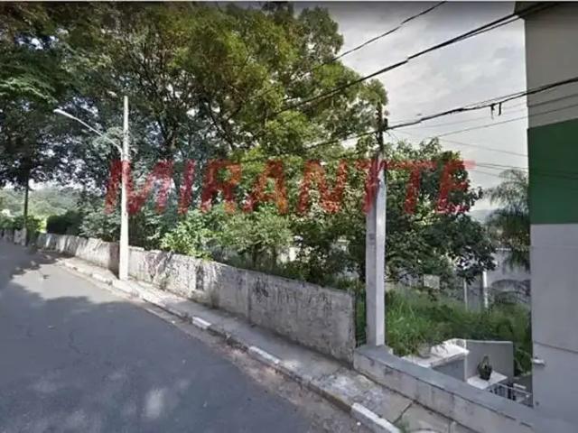 Terreno / Lote para Venda em São Paulo/SP Jardim Floresta