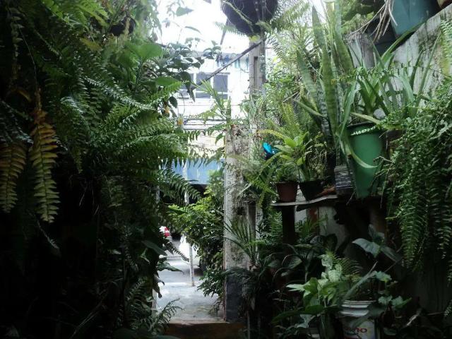 Terreno / Lote para Venda em São Paulo/SP Jardim Floresta 1 Quartos