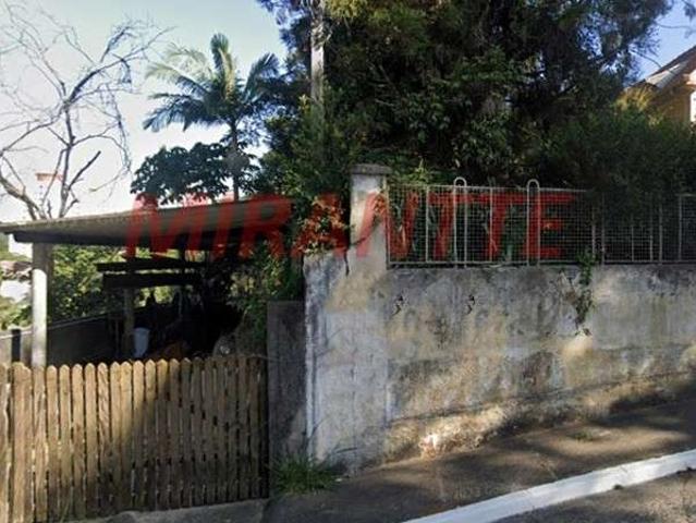 Terreno / Lote para Venda em São Paulo/SP Jardim Floresta
