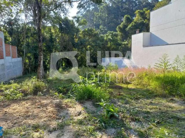 Terreno / Lote para Venda em São Paulo/SP Jardim Floresta