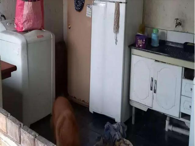 Terreno / Lote para Venda em São Paulo/SP Jardim Independência