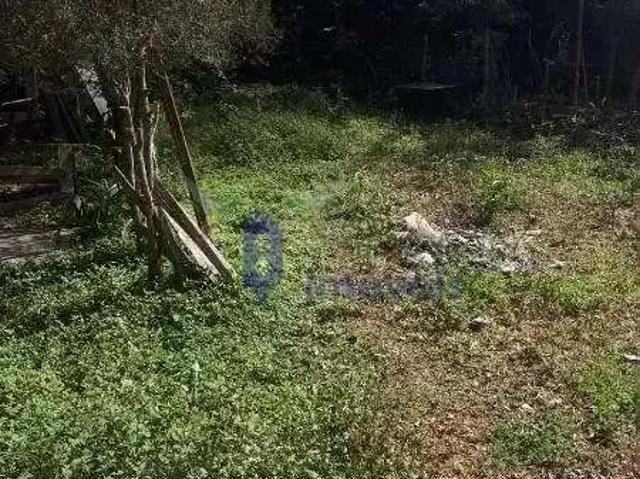 Terreno / Lote para Venda em São Paulo/SP Jardim Iporã 1 Quartos