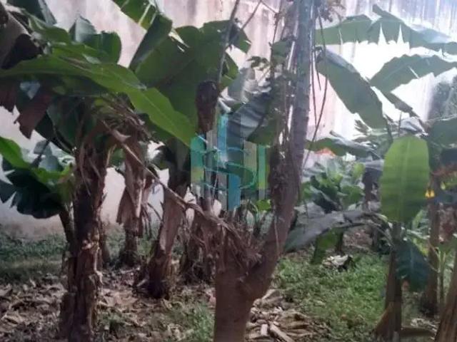 Terreno / Lote para Venda em São Paulo/SP Jardim Mariliza