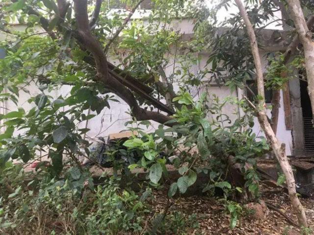 Terreno / Lote para Venda em São Paulo/SP Jardim Novo Carrão