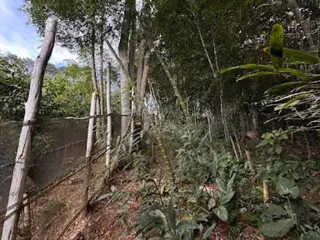 Terreno / Lote para Venda em São Paulo/SP Jardim Novo Parelheiros