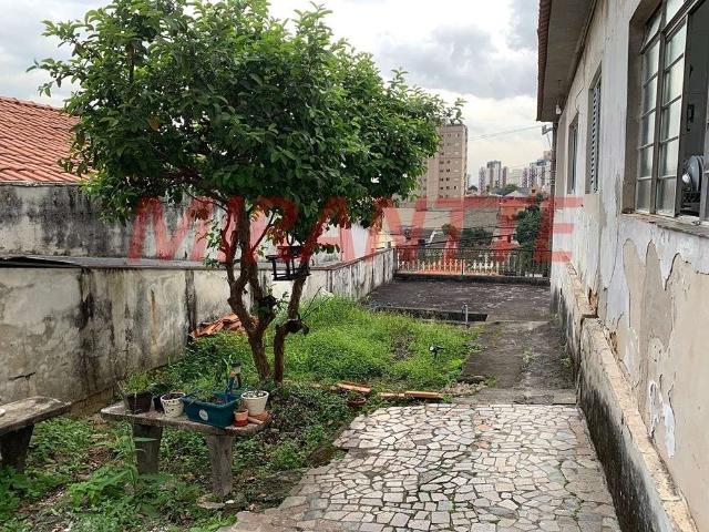 Terreno / Lote para Venda em São Paulo/SP Jardim São Paulo Zona Norte