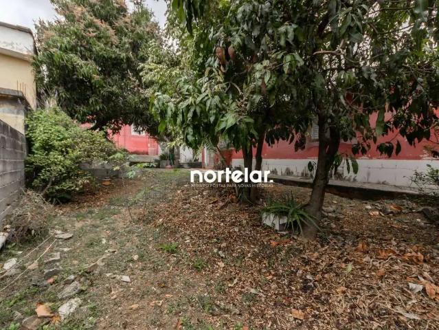 Terreno / Lote para Venda em São Paulo/SP Jardim Santa Mônica