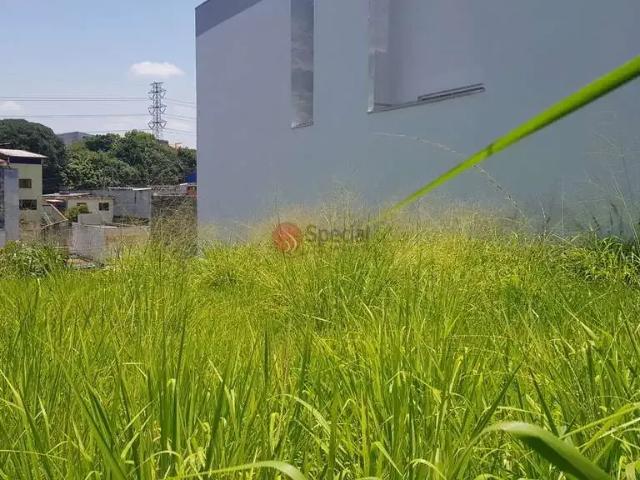 Terreno / Lote para Venda em São Paulo/SP Jardim Santa Maria