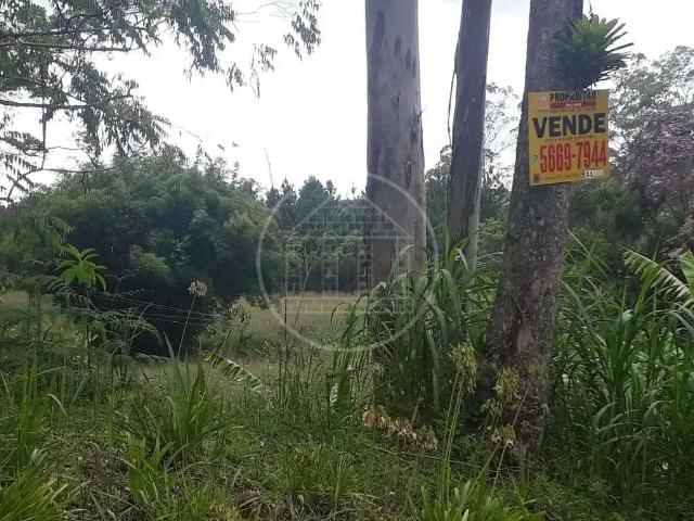 Terreno / Lote para Venda em São Paulo/SP Jardim Silveira