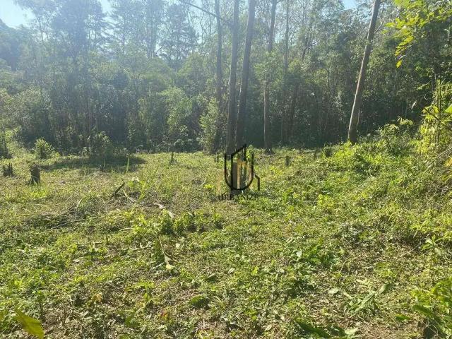 Terreno / Lote para Venda em São Paulo/SP Jardim Silveira