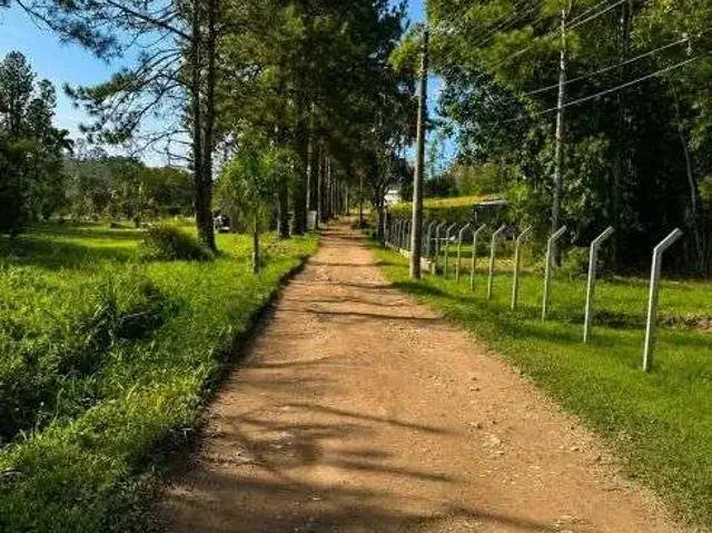 Terreno / Lote para Venda em São Paulo/SP Jardim Silveira