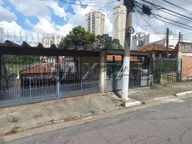 Terreno / Lote para Venda em São Paulo/SP Jardim Paraíso