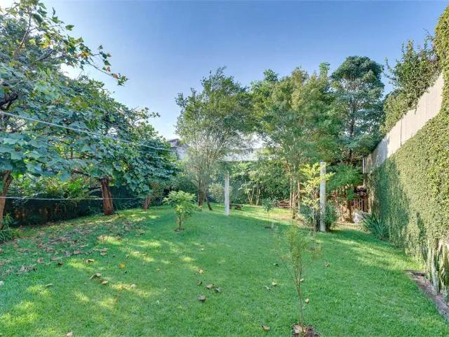 Terreno / Lote para Venda em São Paulo/SP Jardim Petrópolis