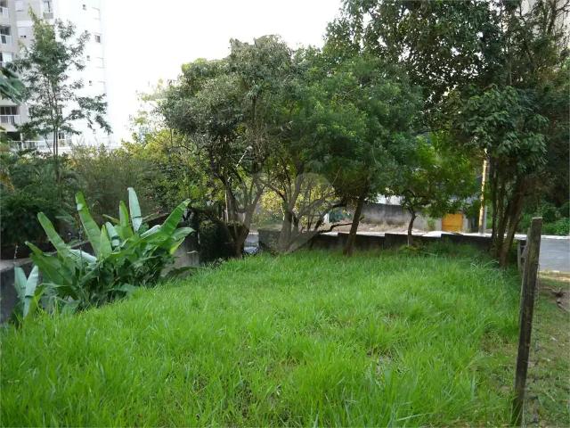 Terreno / Lote para Venda em São Paulo/SP Jardim Petrópolis