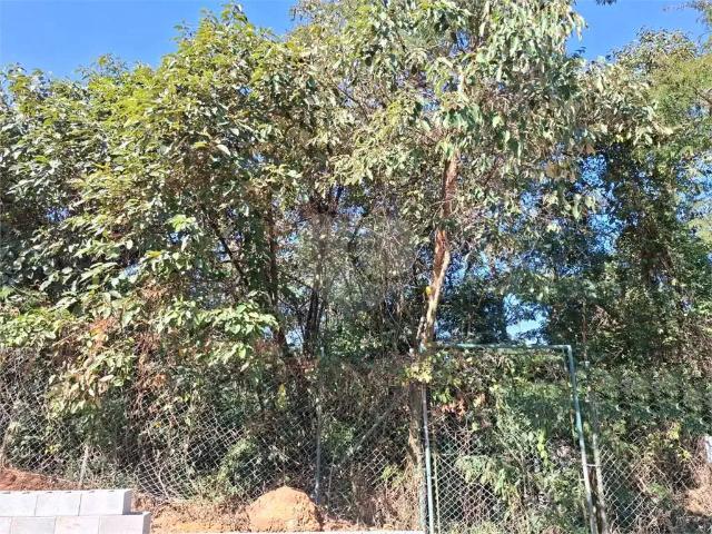 Terreno / Lote para Venda em São Paulo/SP Jardim Peri