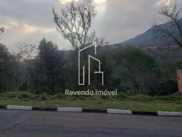 Terreno / Lote para Venda em São Paulo/SP Jardim Peri