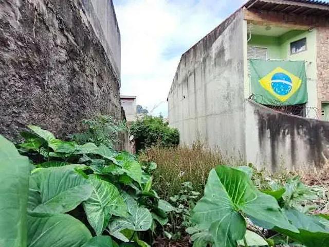 Terreno / Lote para Venda em São Paulo/SP Jardim Primavera