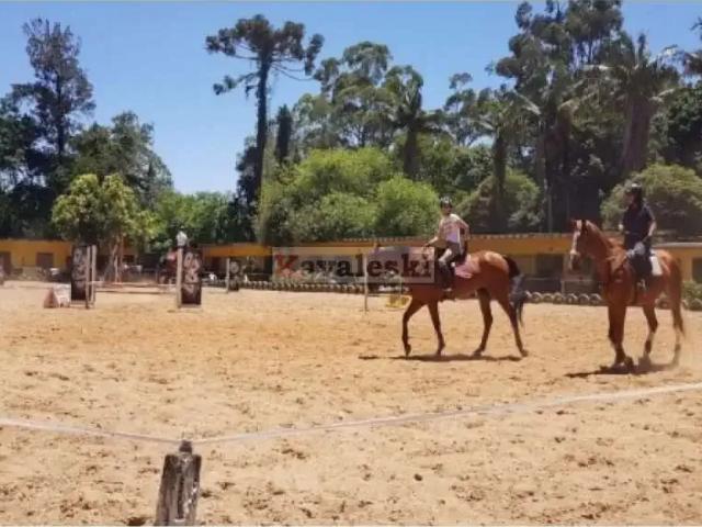 Terreno / Lote para Venda em São Paulo/SP Jardim Represa