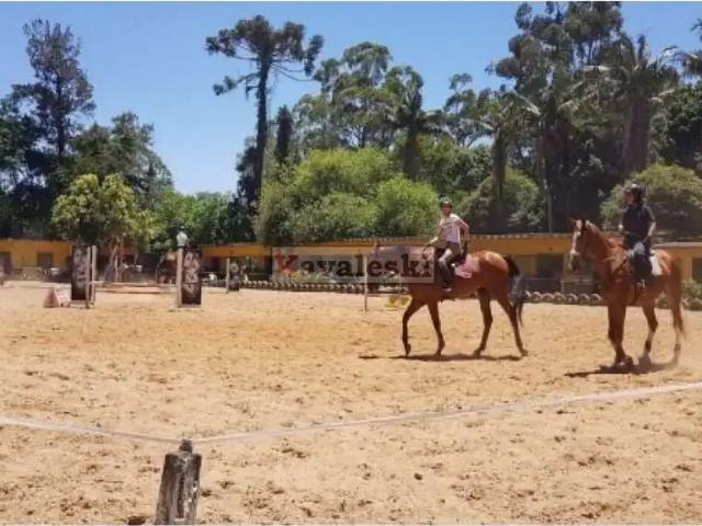 Terreno / Lote para Venda em São Paulo/SP Jardim Represa