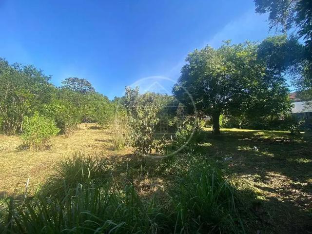 Terreno / Lote para Venda em São Paulo/SP Jardim Tanay