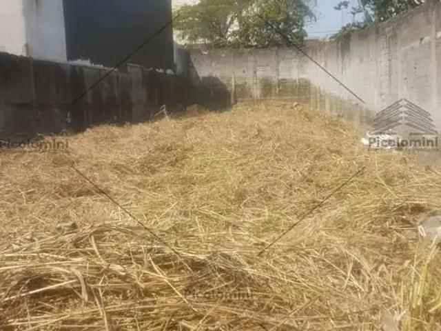 Terreno / Lote para Venda em São Paulo/SP Jardim Têxtil