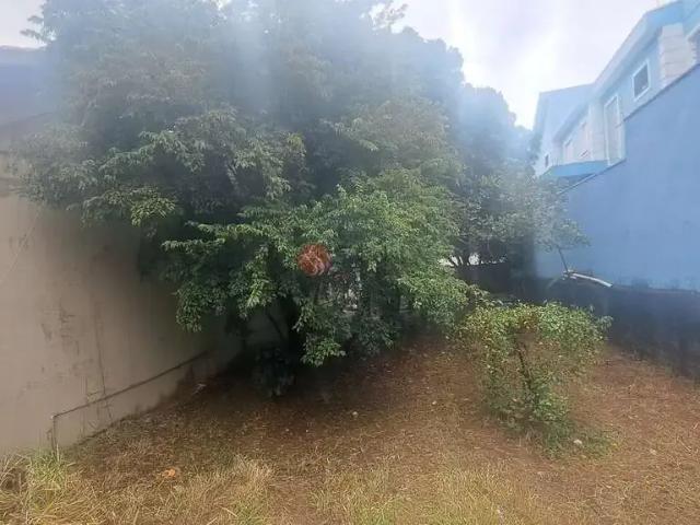 Terreno / Lote para Venda em São Paulo/SP Jardim Têxtil