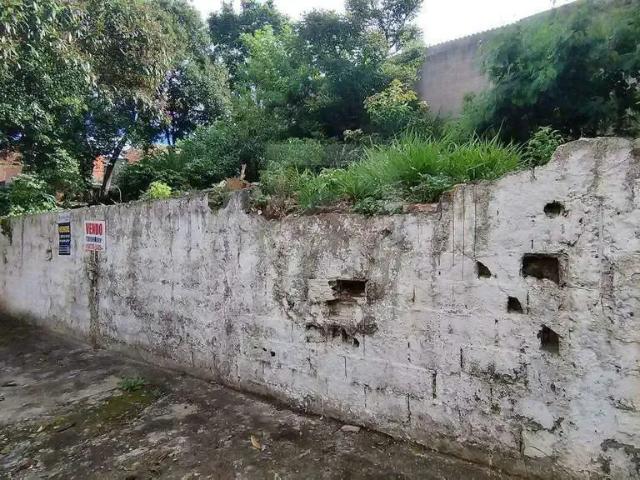 Terreno / Lote para Venda em São Paulo/SP Jardim Tietê