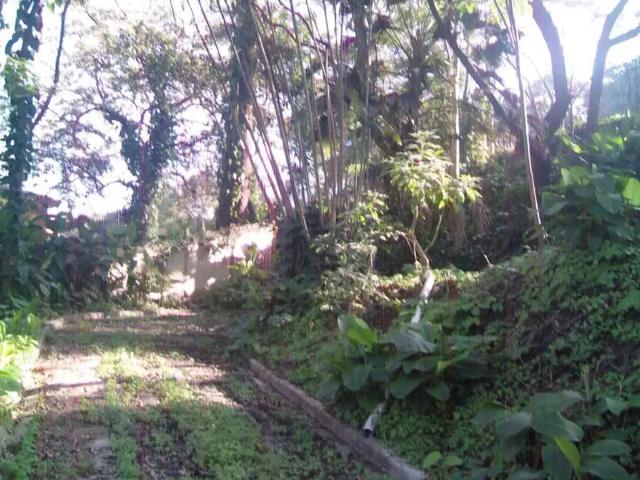 Terreno / Lote para Venda em São Paulo/SP Jardim Vitoria Regia
