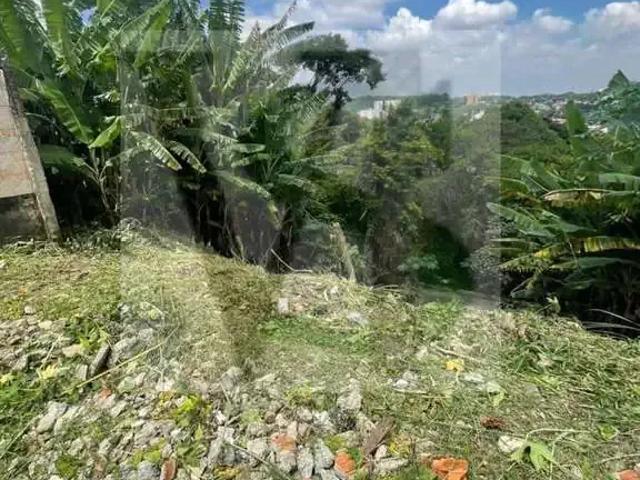 Terreno / Lote para Venda em São Paulo/SP Jardim Virgínia Bianca