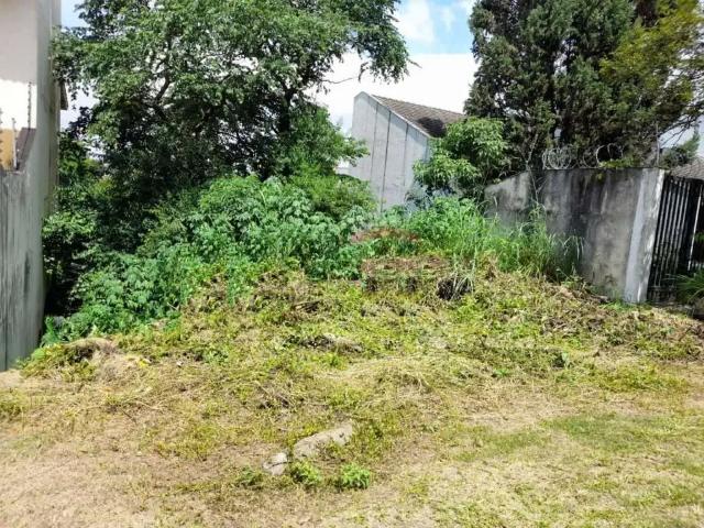 Terreno / Lote para Venda em São Paulo/SP Jardim Virgínia Bianca