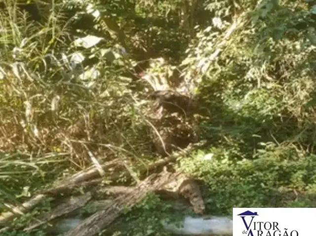 Terreno / Lote para Venda em São Paulo/SP Jardim Virgínia Bianca