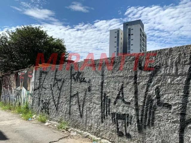 Terreno / Lote para Venda em São Paulo/SP Lauzane Paulista