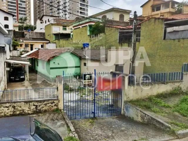 Terreno / Lote para Venda em São Paulo/SP Lauzane Paulista