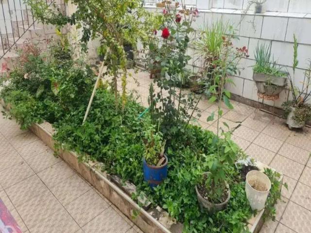 Terreno / Lote para Venda em São Paulo/SP Limão