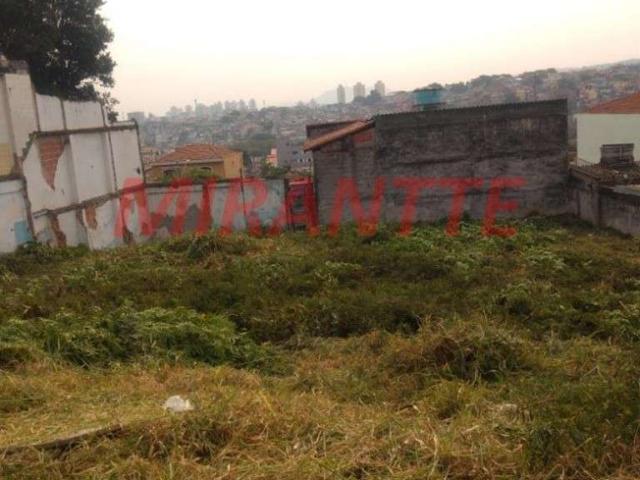 Terreno / Lote para Venda em São Paulo/SP Limão