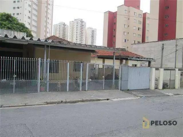 Terreno / Lote para Venda em São Paulo/SP Mandaqui