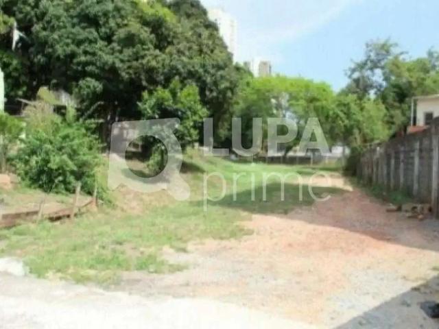 Terreno / Lote para Venda em São Paulo/SP Mandaqui