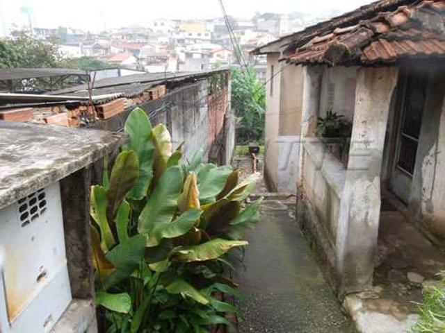 Terreno / Lote para Venda em São Paulo/SP Mandaqui