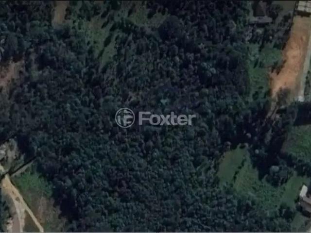 Terreno / Lote para Venda em São Paulo/SP Moinho Velho