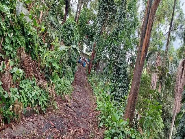 Terreno / Lote para Venda em São Paulo/SP Morumbi