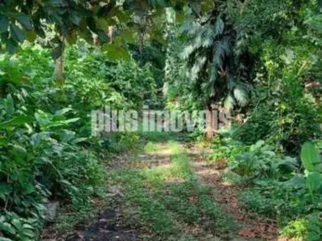 Terreno / Lote para Venda em São Paulo/SP Panamby