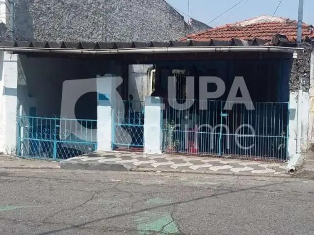 Terreno / Lote para Venda em São Paulo/SP Parada Inglesa