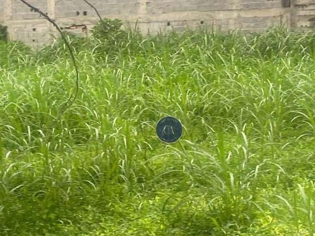 Terreno / Lote para Venda em São Paulo/SP Paraíso do Morumbi